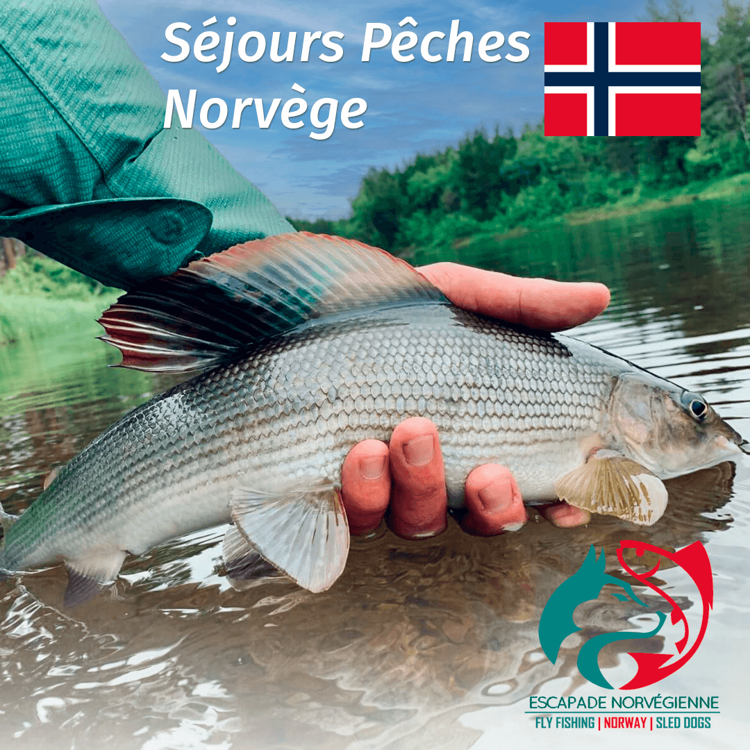 Séjours pêches Escapade Norvégienne - Escapade Norvegienne